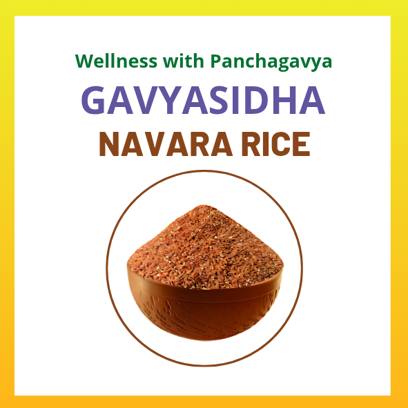 Navara Rice - GAVYASIDHA